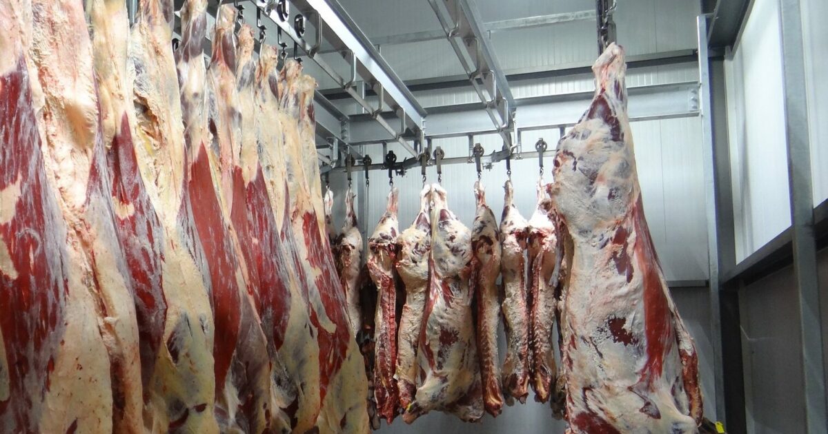 A glimmer of hope - Episode 3