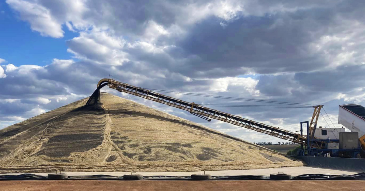 Grain intake lower than a drought year? - Episode 3